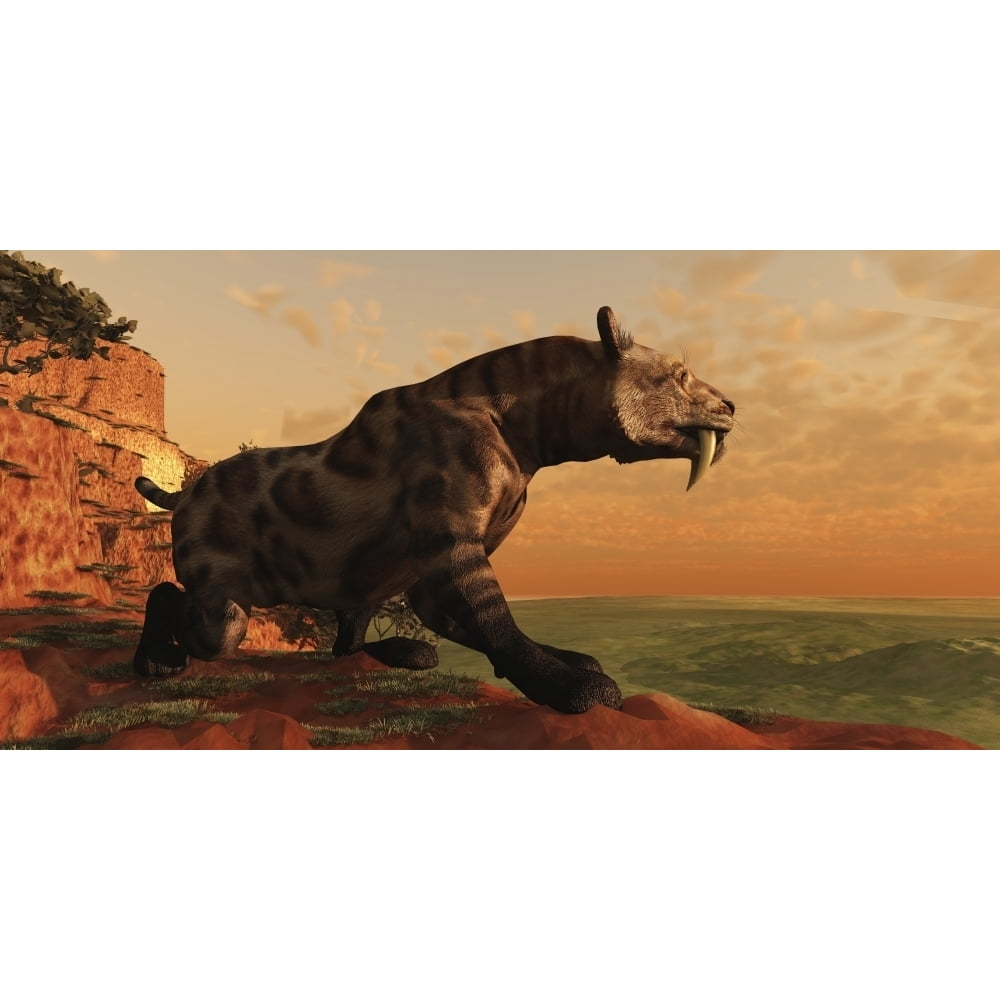 A prehistoric Smilodon Cat is on the prowl for his next prey Poster ...