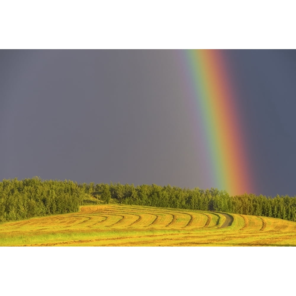 A rainbow appears over a freshly raked field of hay; Delta Junction ...