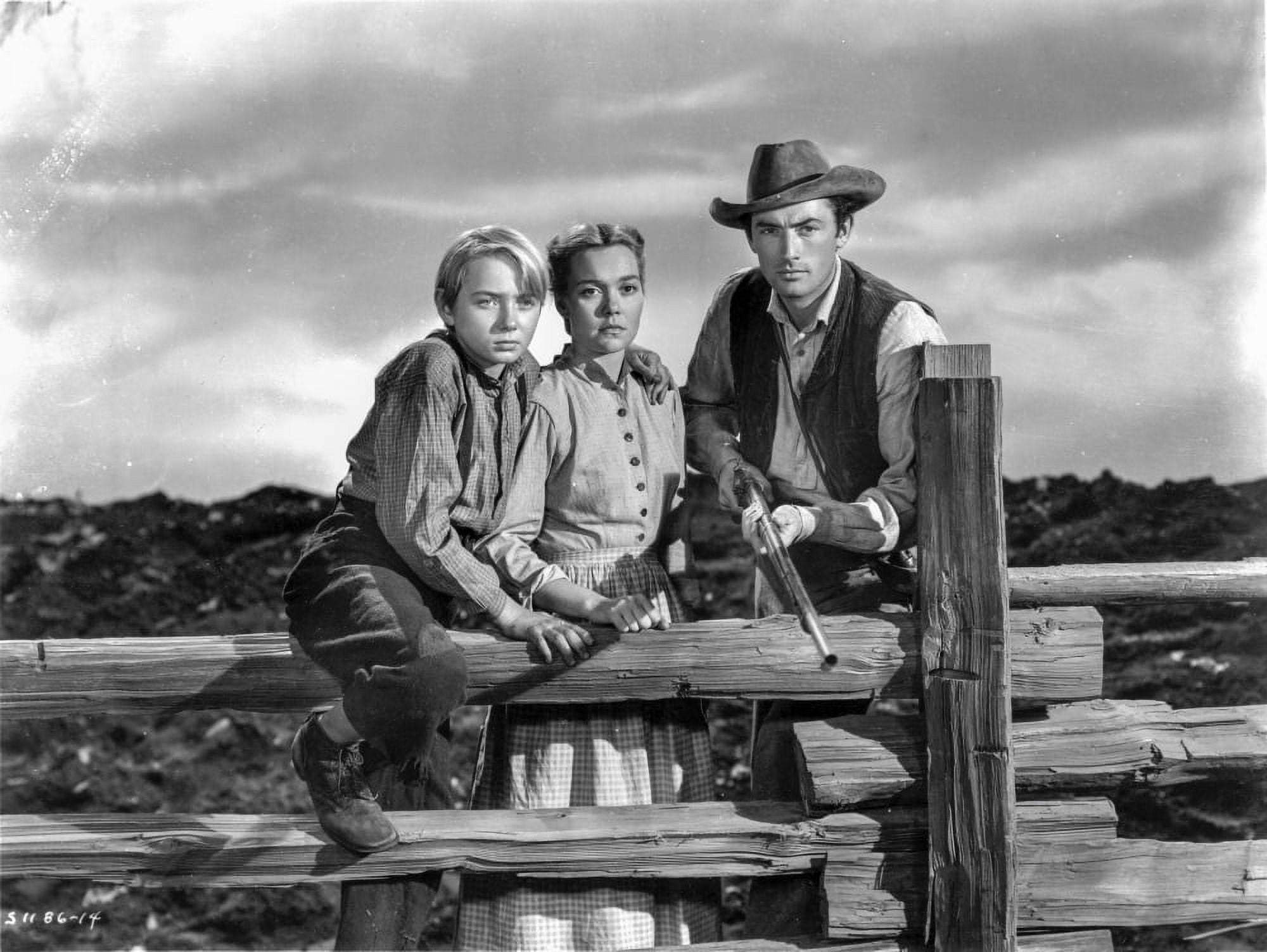 A scene from The Yearling Photo Print (24 x 30) - Walmart.com