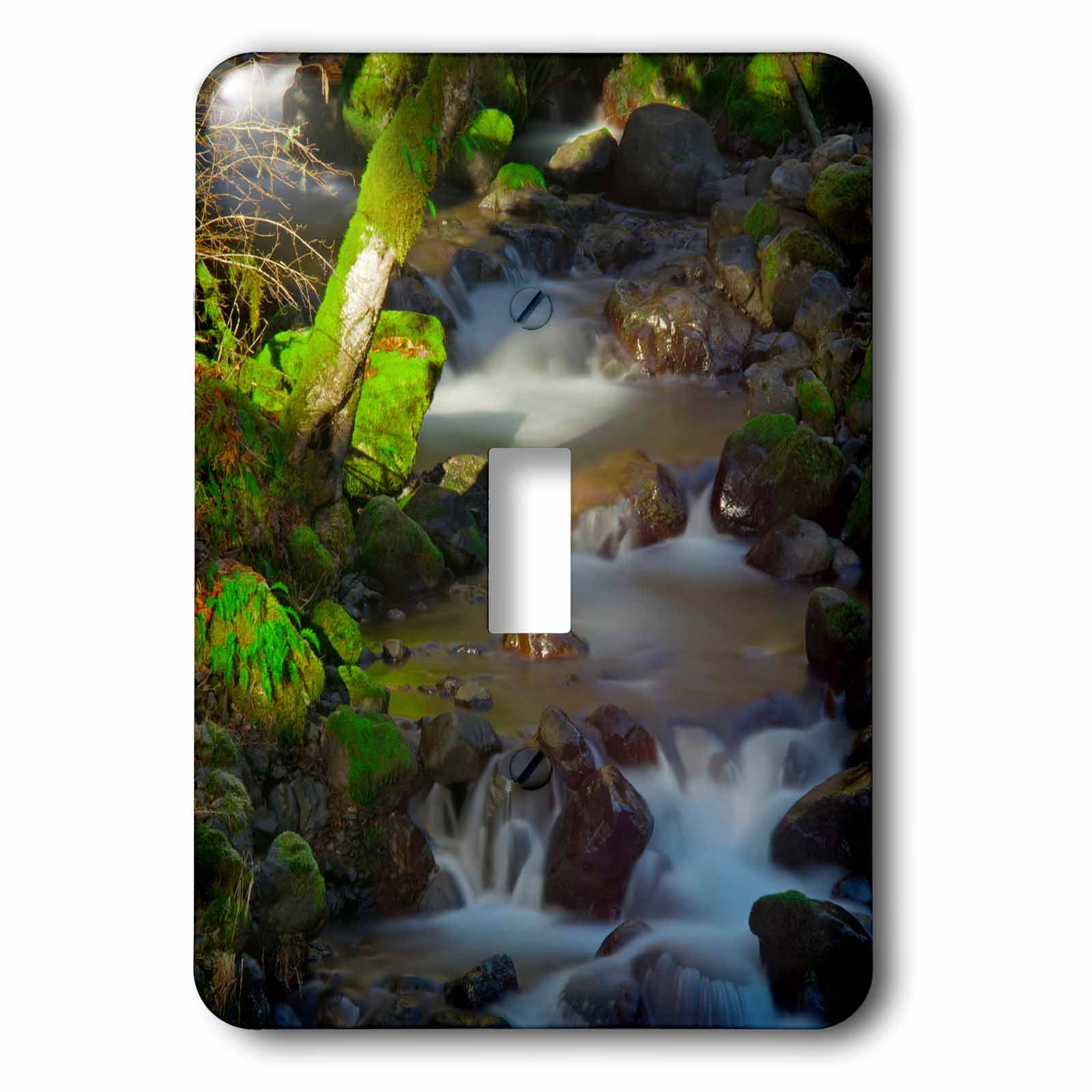 3dRose, A small tributary stream in the Oregon Cascades, Oregon, USA ...