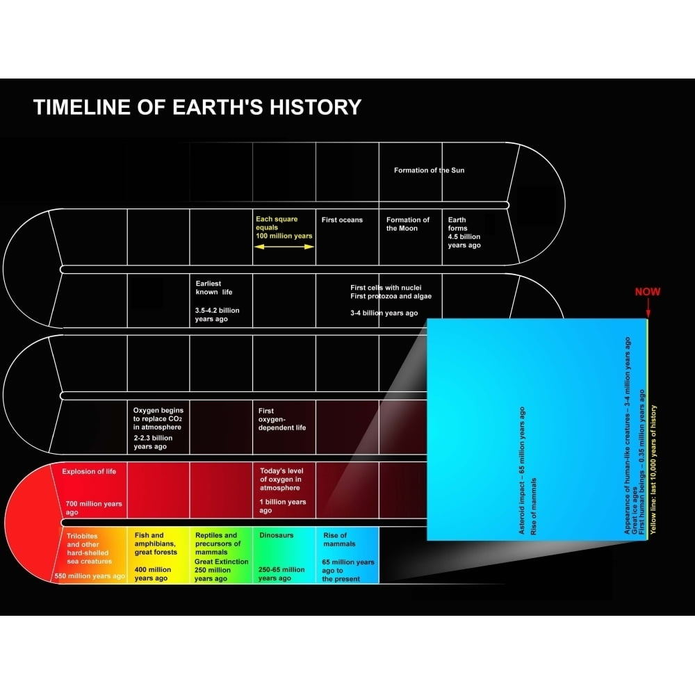 A timeline of Earths history Poster Print - Walmart.com