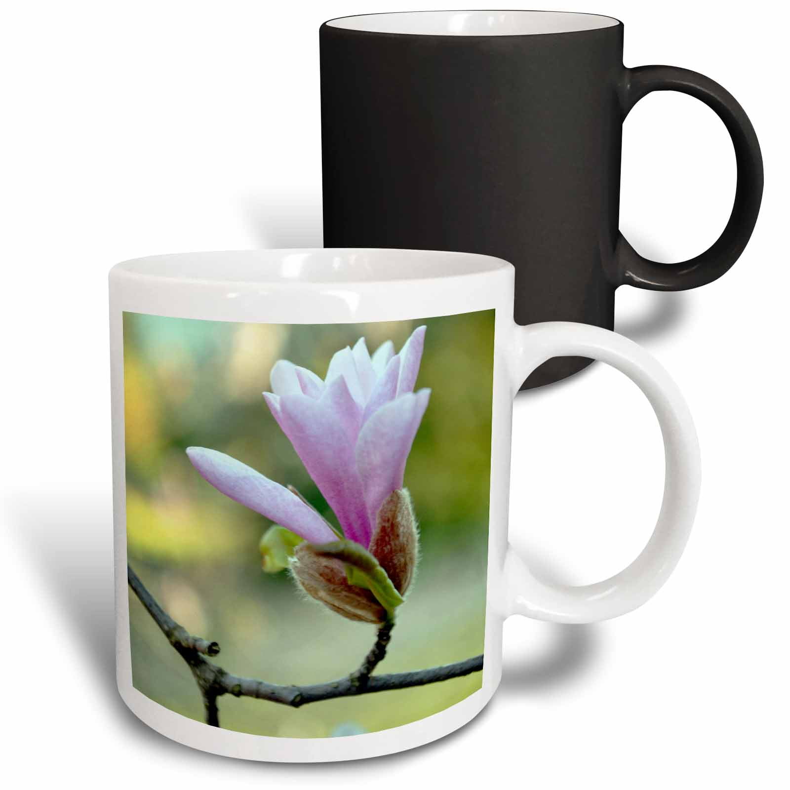 3dRose, A unique kind of magnolia, 11oz Magic Transforming Mug ...