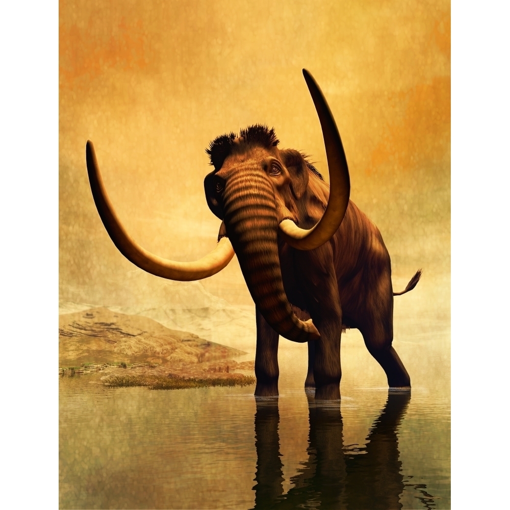 A woolly mammoth in a dramatic frozen sunset Poster Print - Walmart.com