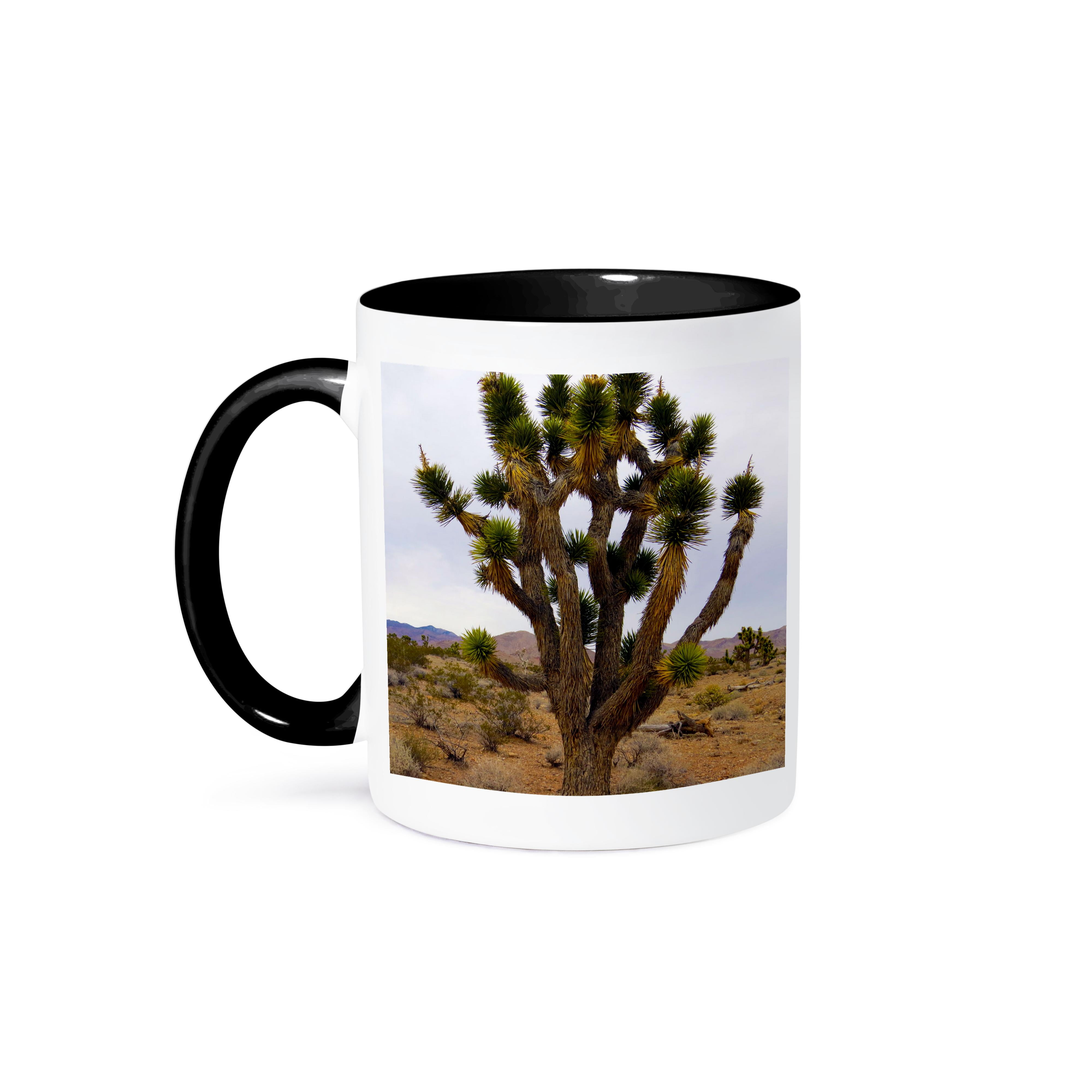 3dRose, A yucca tree in the Arizona Desert near Littlefield, 11oz Two ...