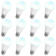 6500K LED Bulbs