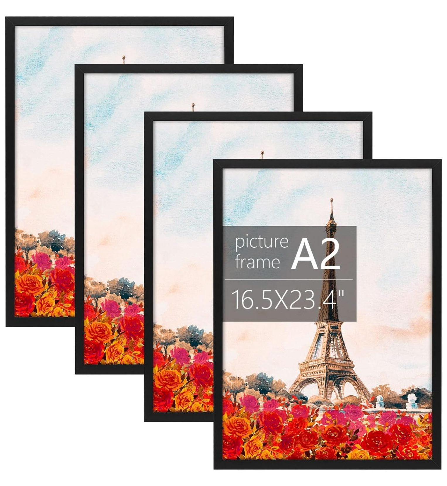 , A2 Picture Frame - Made Of Solid Wood And Plexiglass, Display A2 (16 ...