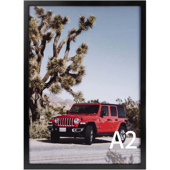 "A2 Picture Frame, Black Solid Wood, 16.5""x23.4"" Horizontal and ...