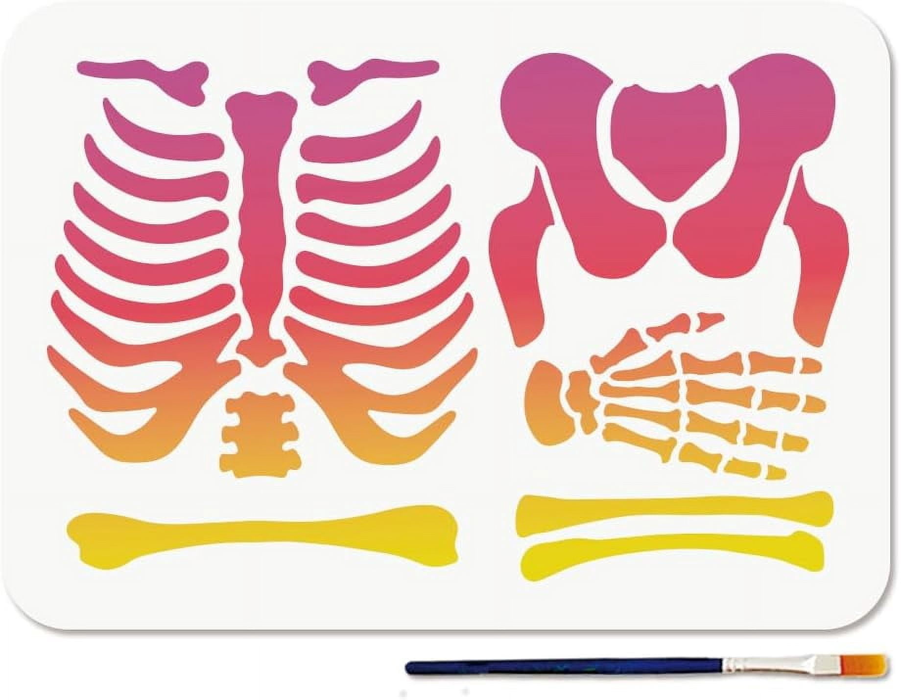 A4 Bones Stencil with Paint Brush Hand Ribs Pelvis Stencil 11.7×8.3inch ...