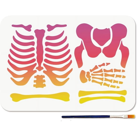 A4 Bones Stencil with Paint Brush Hand Ribs Pelvis Stencil 11.7×8.3inch ...