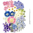 A4 Large Dried Pressed Flower for Resin Real Dry Natural Flowers Leaves ...