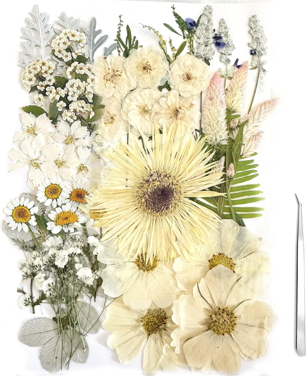 A4 Large Dried Pressed Flowers for Resin Pressed Flowers Real Dry ...