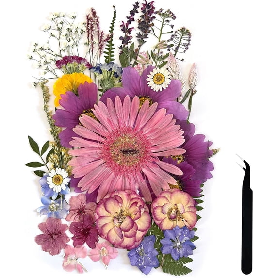 A4 Large Dried Pressed Flowers for Resin Purple Pressed Flowers Real ...