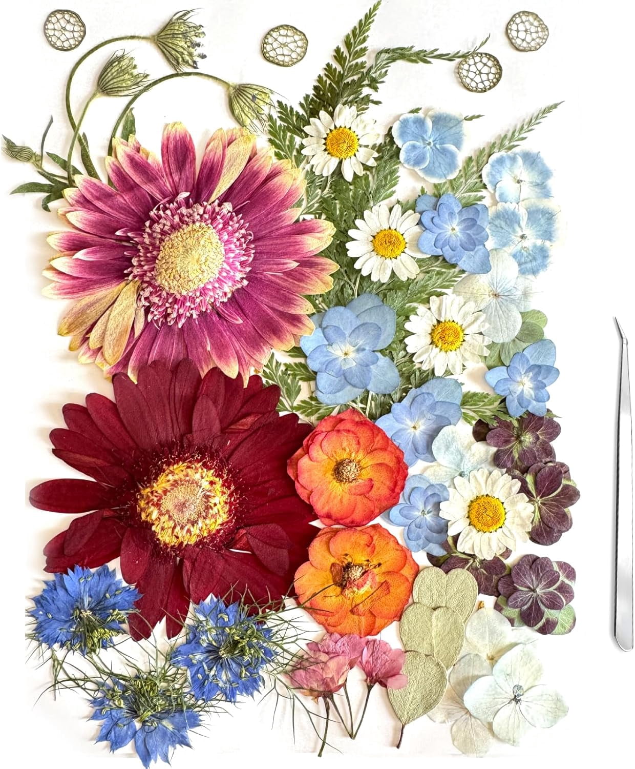 A4 Large Dried Pressed Flowers for Resin Real Dry Natural Flowers ...