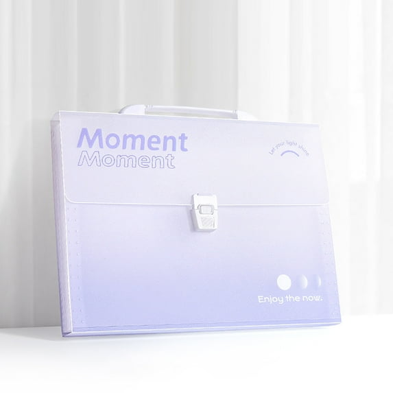 A4 Organizer Bag under $5! Yrmaups 13-Pocket A4 Handheld Organizer ...