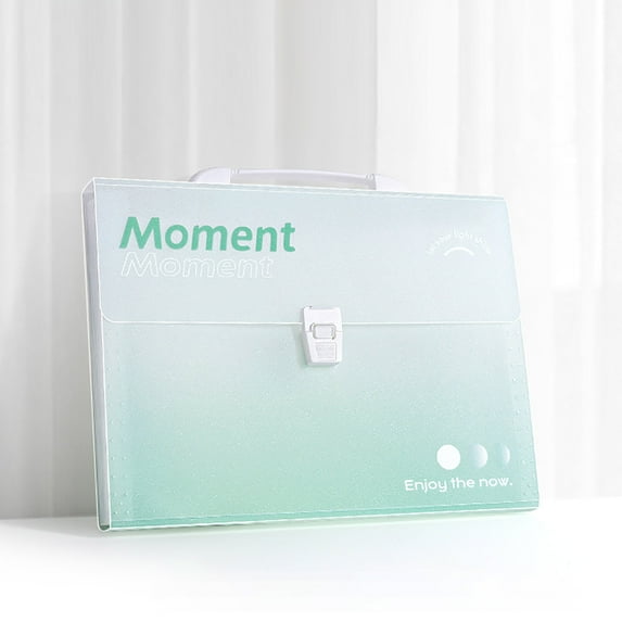 A4 Organizer Bag under $5! Yrmaups 13-Pocket A4 Handheld Organizer ...