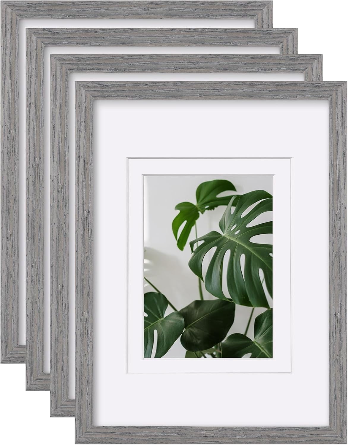 A4 Picture Frames Set of 4, Made of Solid Wood Covered by Plexiglass ...
