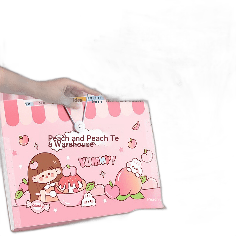 A4 Storage And Finishing Wind Piano Folder Folder [Cartoon Style] 8 ...