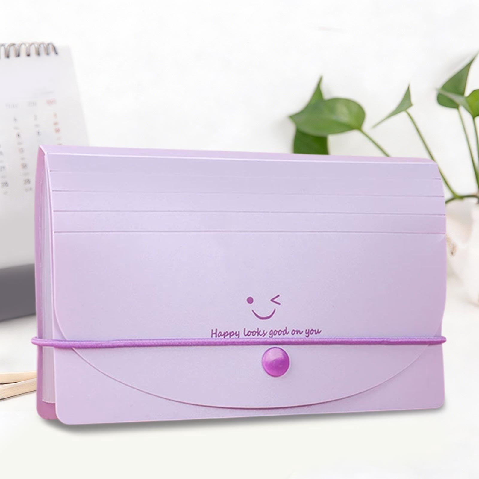 A6 Size 13-Pocket Expanding File Folder with Index Tags, Mini Document ...