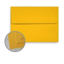 4x8 Envelopes