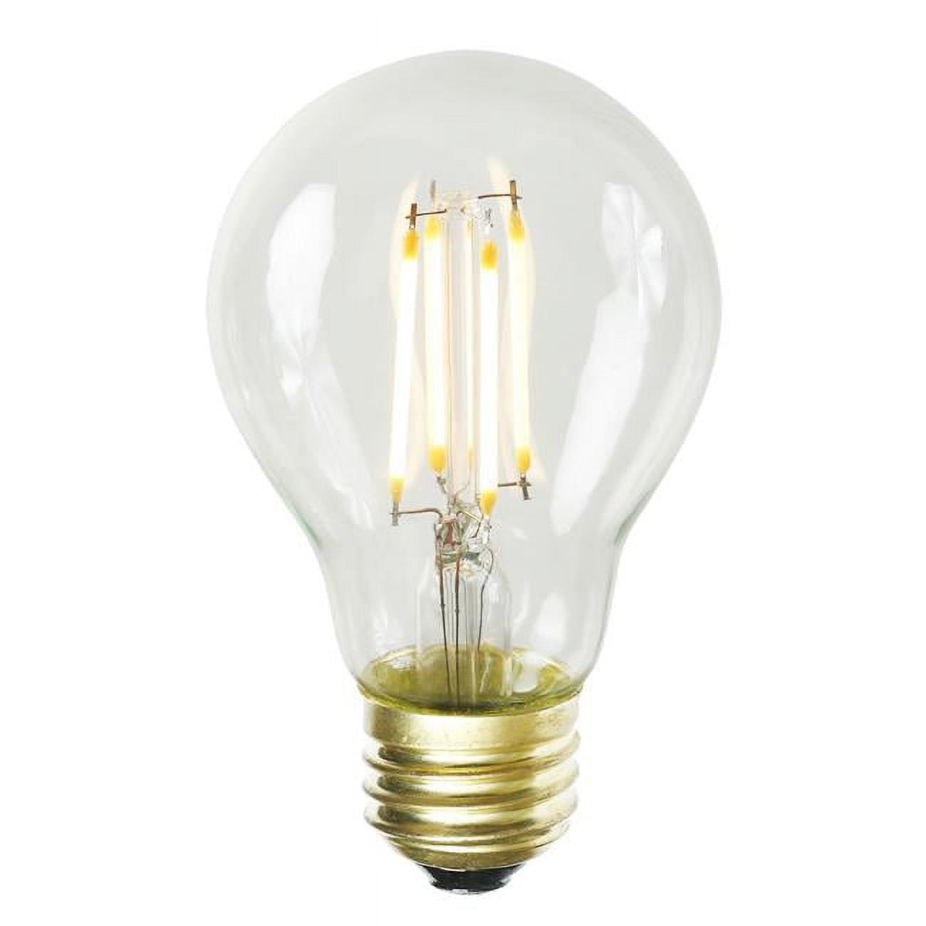 A9 3.2W LED Filament Bulb with Warm White Lights for Christmas Decor ...