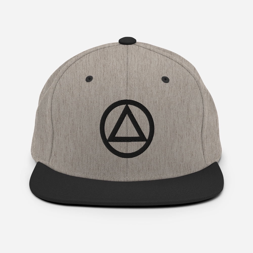 AA NA lg Circle Triangle Black Logo Clean Sober 12-step Recovery ...