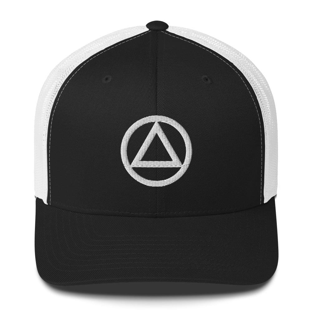 AA NA lg Circle Triangle White Logo Clean Sober 12-step Recovery ...