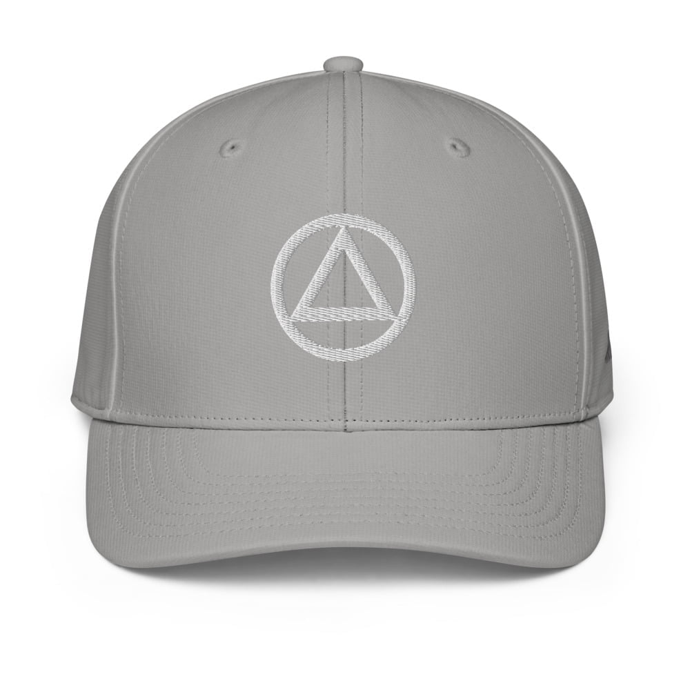 AA NA lg White Circle Triangle 12-step Clean Sober Logo Sobriety ...