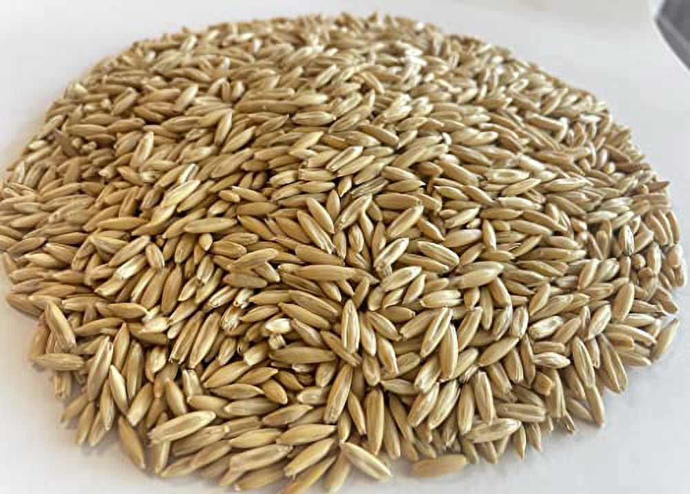 AA Plus Shop Premium Triple Cleaned Whole Oats, Horse Feed, Garden ...