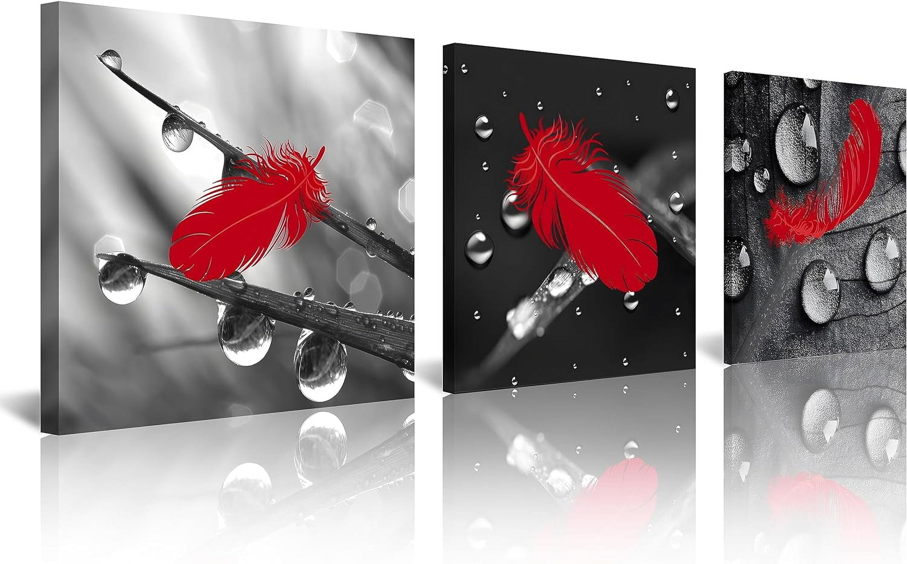 AABERIC 3-Piece Red Feather Canvas Wall Art Set Black and White ...