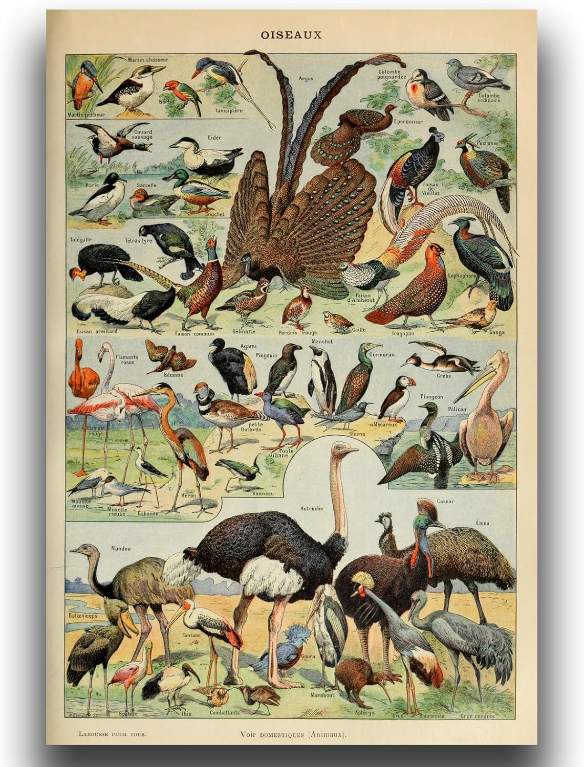 AABERIC Adolphe Millot Prints Pour Tous Posters Daily Learning Wall ...
