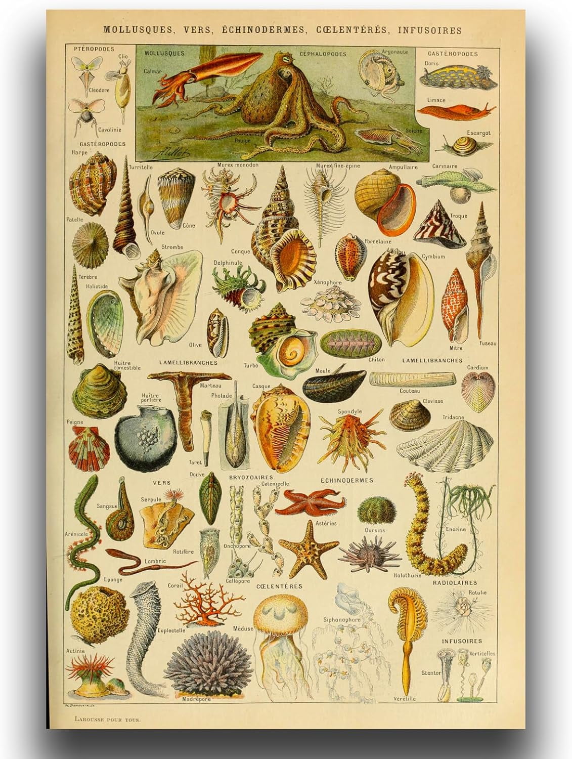 AABERIC Adolphe Millot prints Pour Tous Poster Software Biometric ...