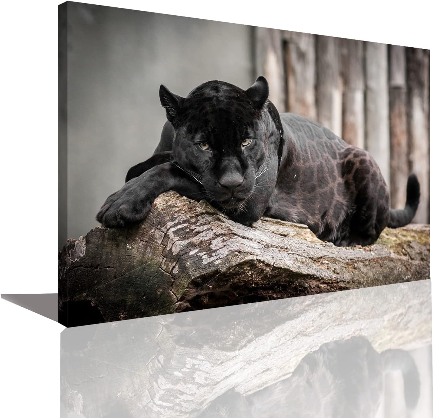 AABERIC Animal Leopard Wall Art Picture Black Panther Poster Print ...