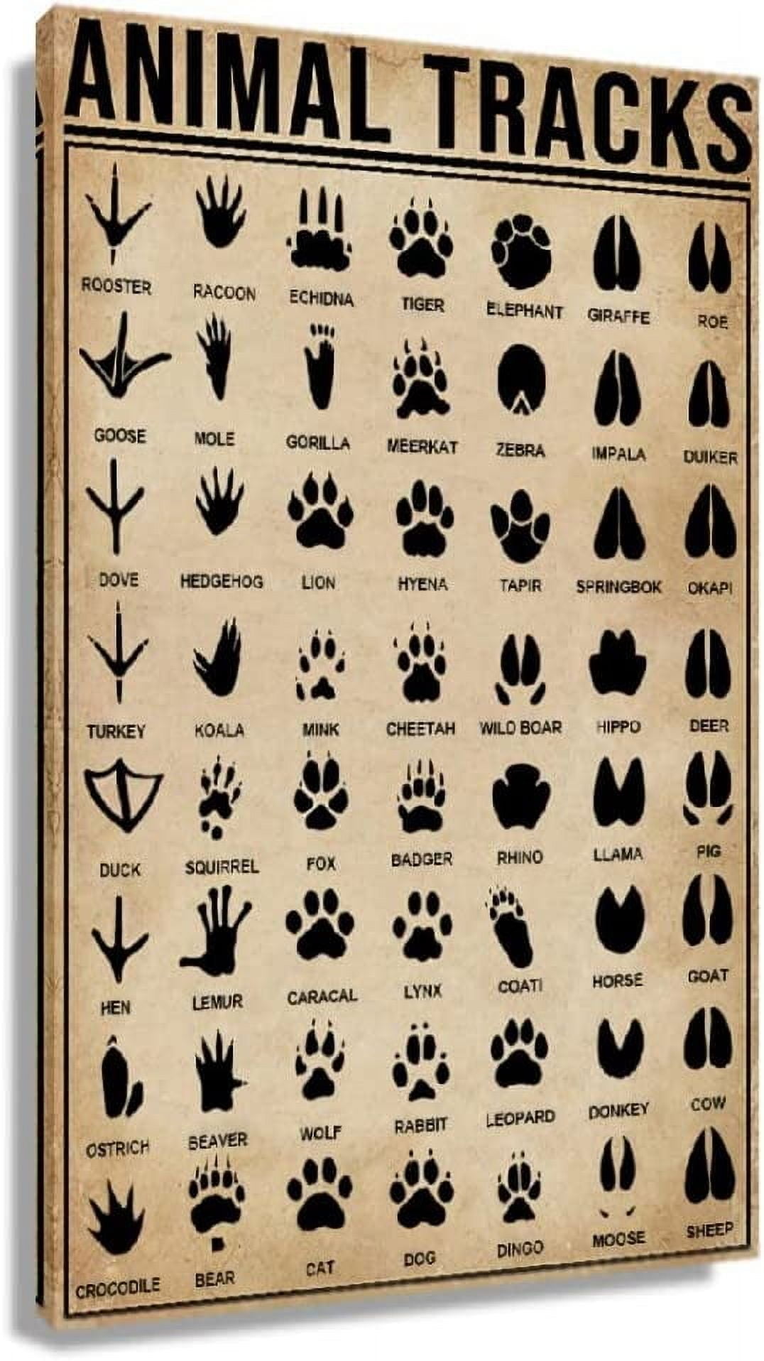 AABERIC Animal Tracks Poster Framed Wall Decor Vintage Educational Wall ...
