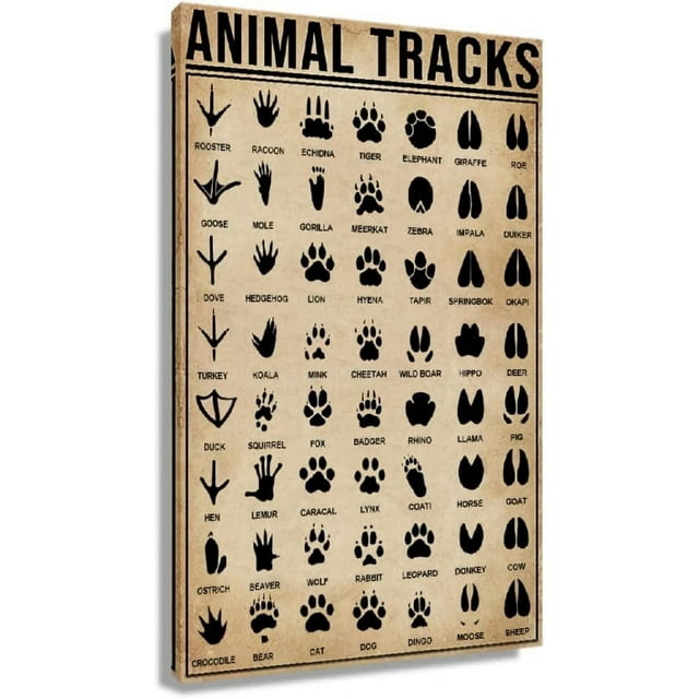 AABERIC Animal Tracks Poster Framed Wall Decor Vintage Educational Wall ...