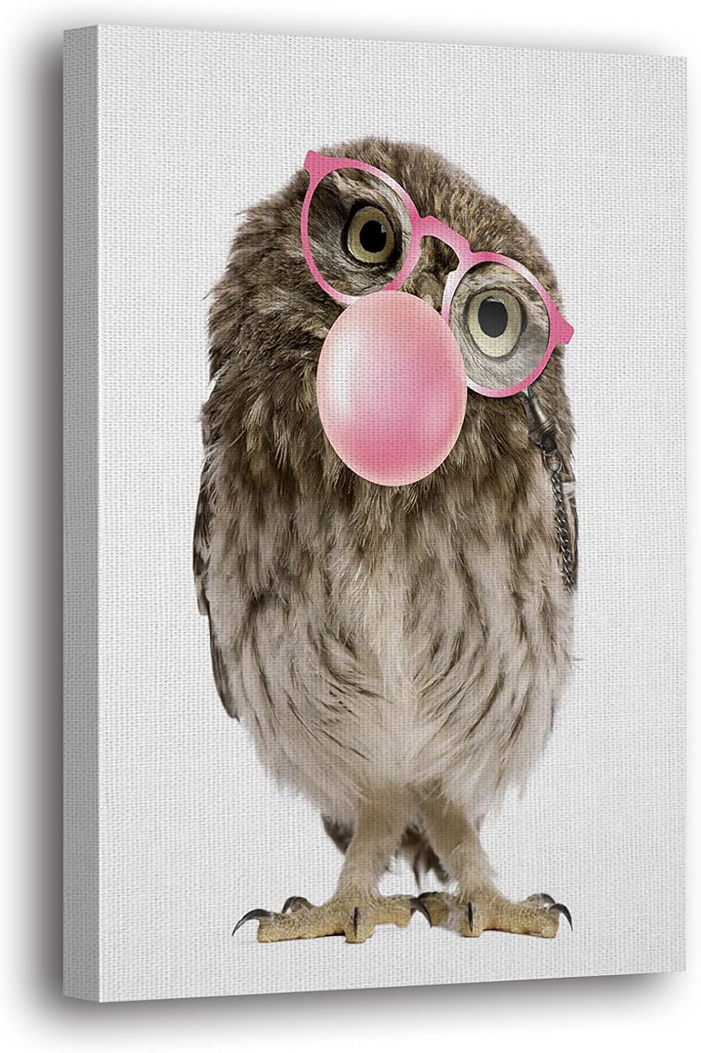 AABERIC Animals Blowing Bubble Gum Wall Art for Farmhouse Bathroom ...
