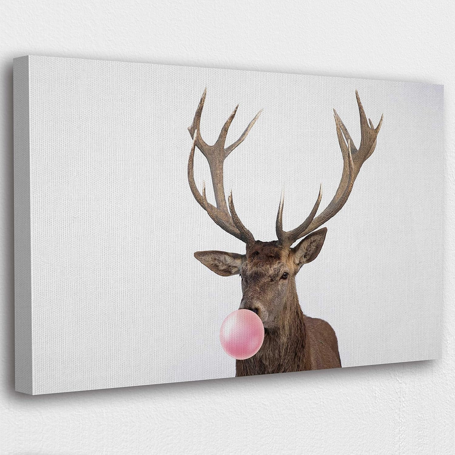 AABERIC Animals Blowing Bubble Gum Wall Art for Farmhouse Bathroom ...