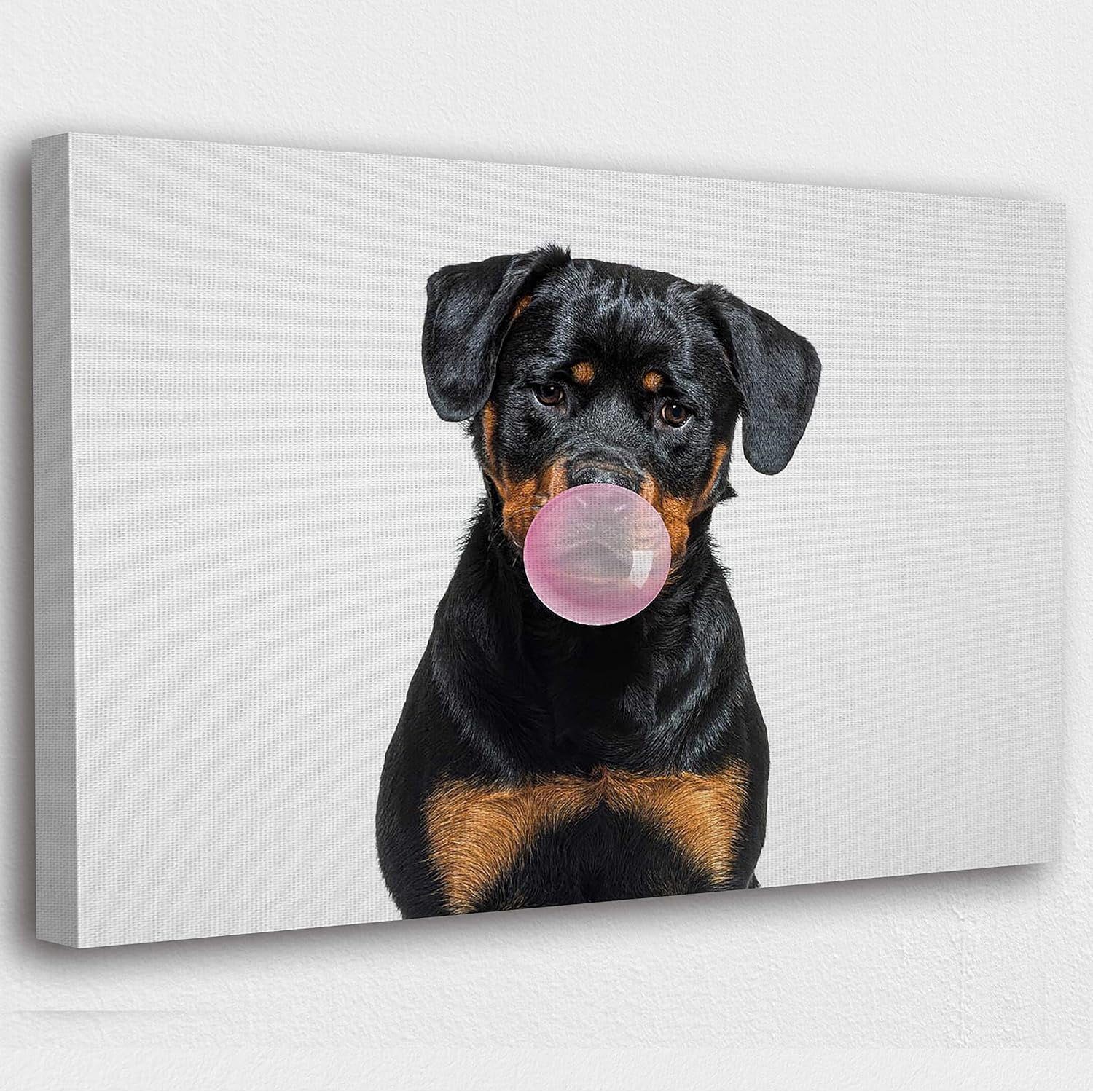 AABERIC Animals Blowing Bubble Gum Wall Art for Farmhouse Bathroom ...