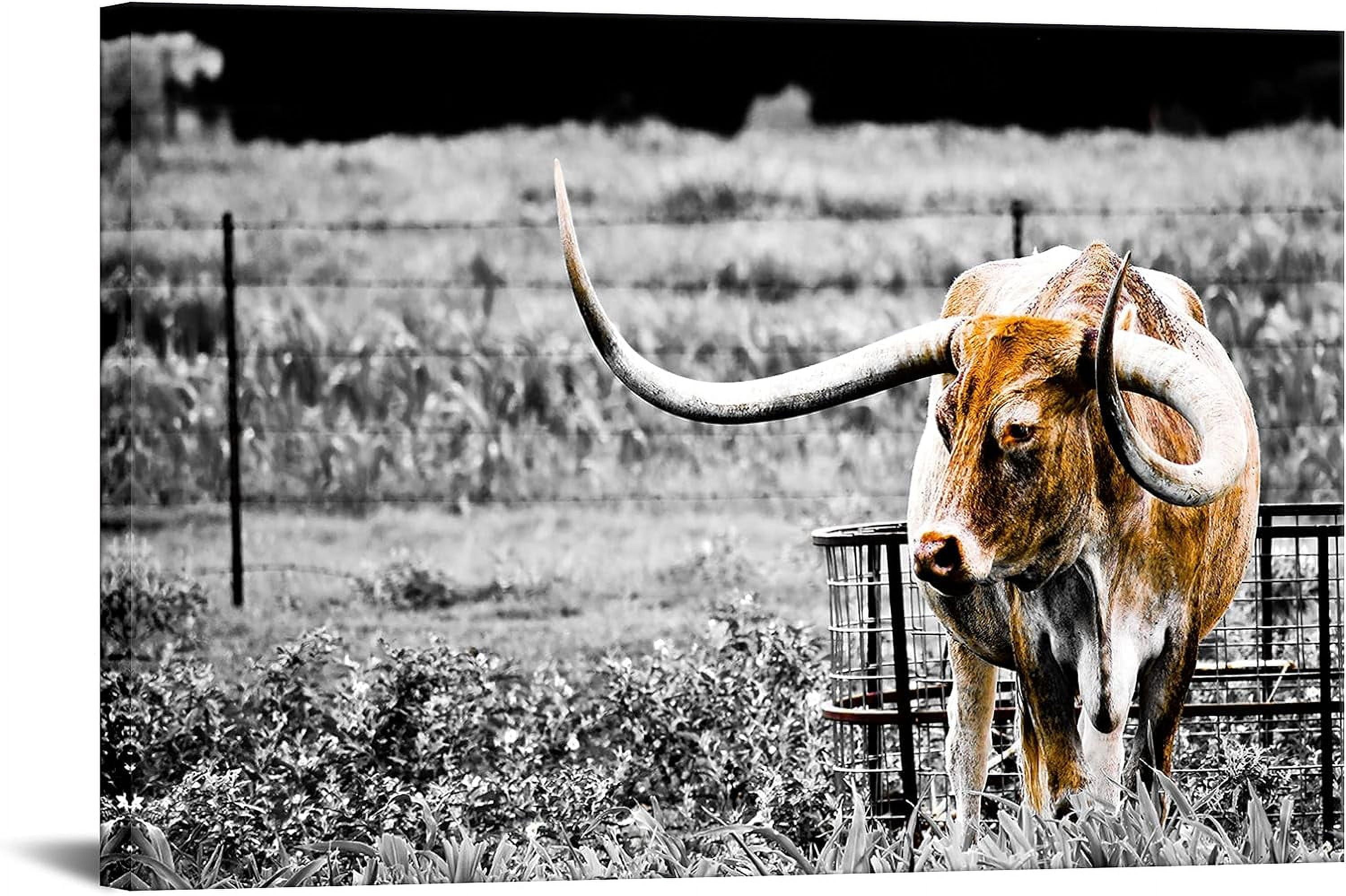 AABERIC Animals Canvas Wall Art Decor Highland Cow Picture Longhorn ...