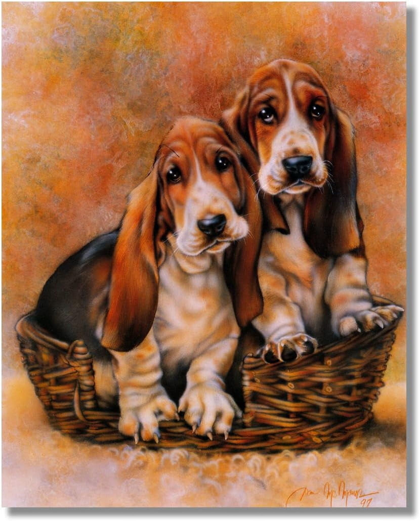 AABERIC Baby Basset Hound Puppy Dog Animal Wall Picture Art Print ...
