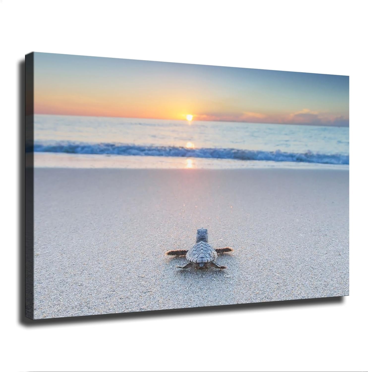 AABERIC Baby Sea Turtle on The Beautiful Beach Vintage Animal Posters ...
