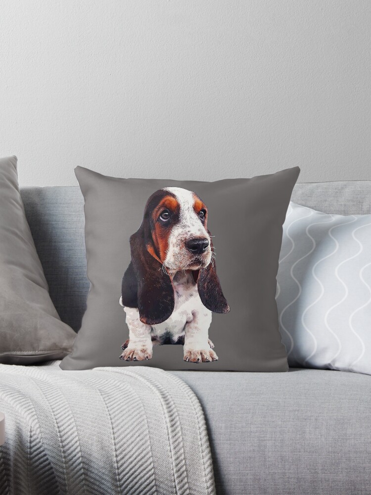 AABERIC Basset Hound Cute Puppy Dog Throw Pillow Covers Cases Cushion ...