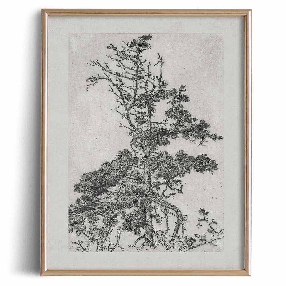 AABERIC Beige Equine Pony Equestrian Print Poster - Horse Drawing ...