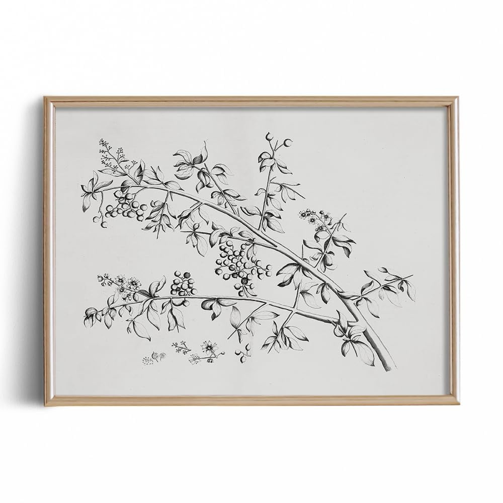 AABERIC Beige Equine Pony Equestrian Print Poster - Vintage Farmhouse ...