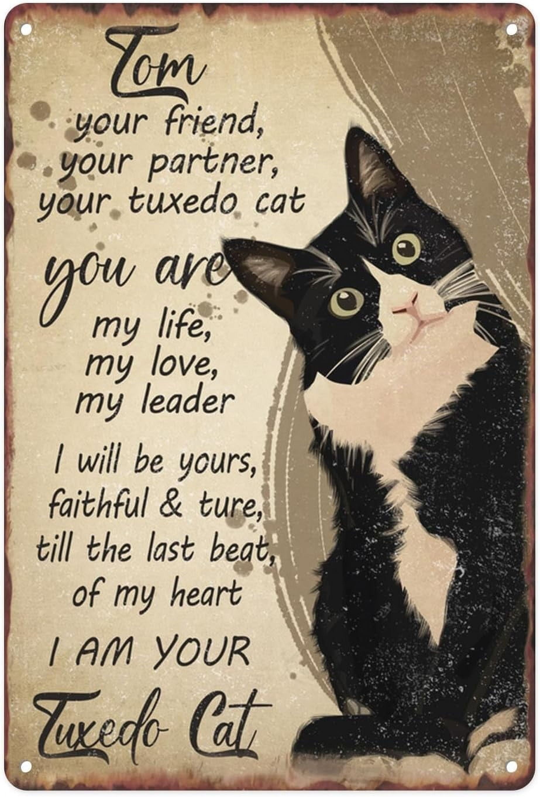 AABERIC Black Cat Metal Sign I Am Your Friend Your Partner Your Cat You ...