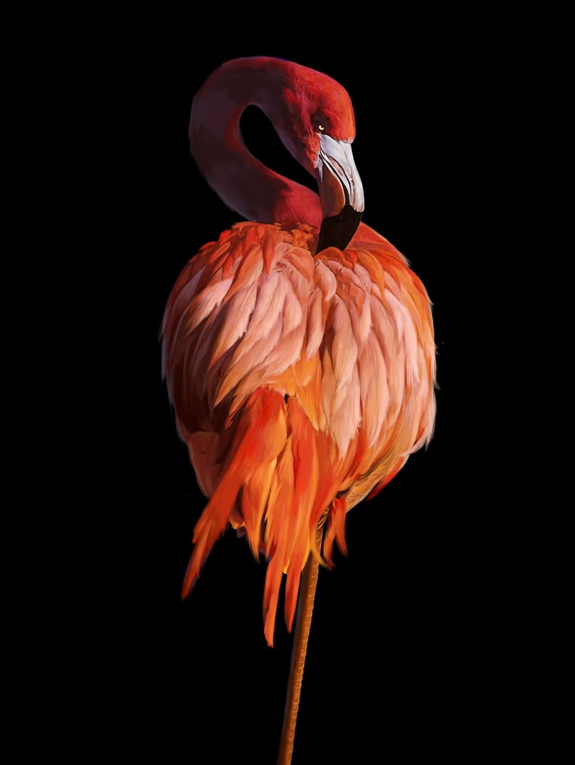 AABERIC Black Cat Wall Art, Eclectic Wall Decor, Cute Preppy Cat Poster ...