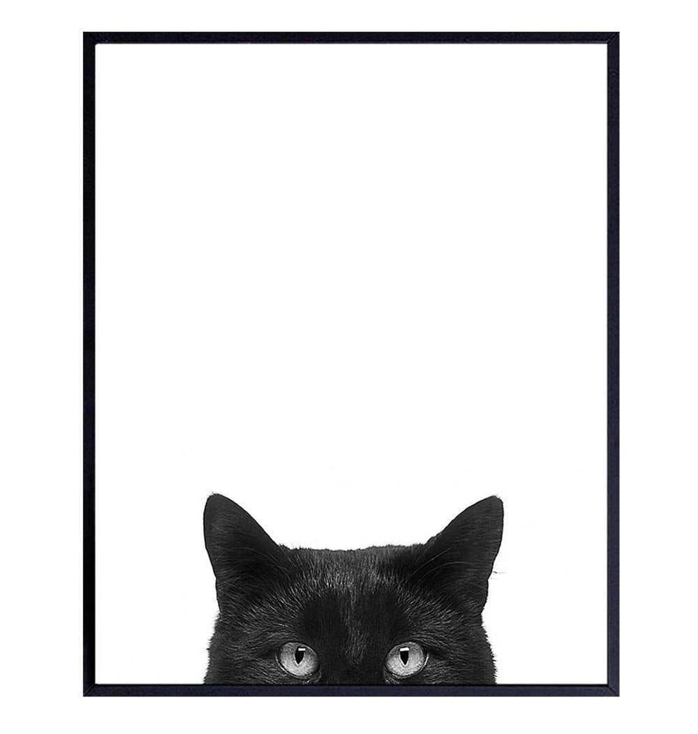 AABERIC Black Cat Wall Art Photo - Unique 8x10 Modern Contemporary 8x10 Home Decor Print- Gift ...