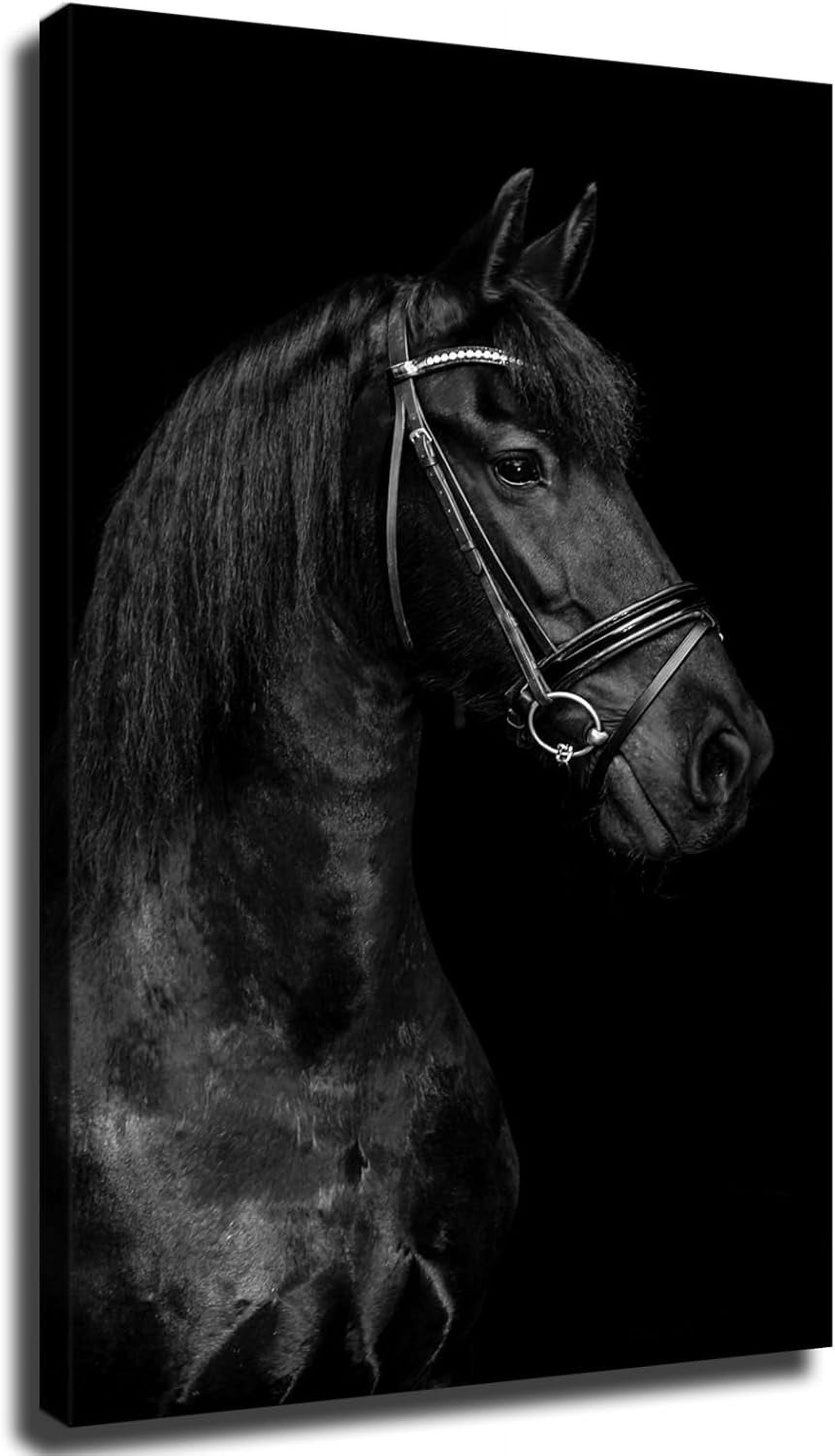 AABERIC Black Friesian Horse (Picture Poster Stallion Animal Pony Art ...