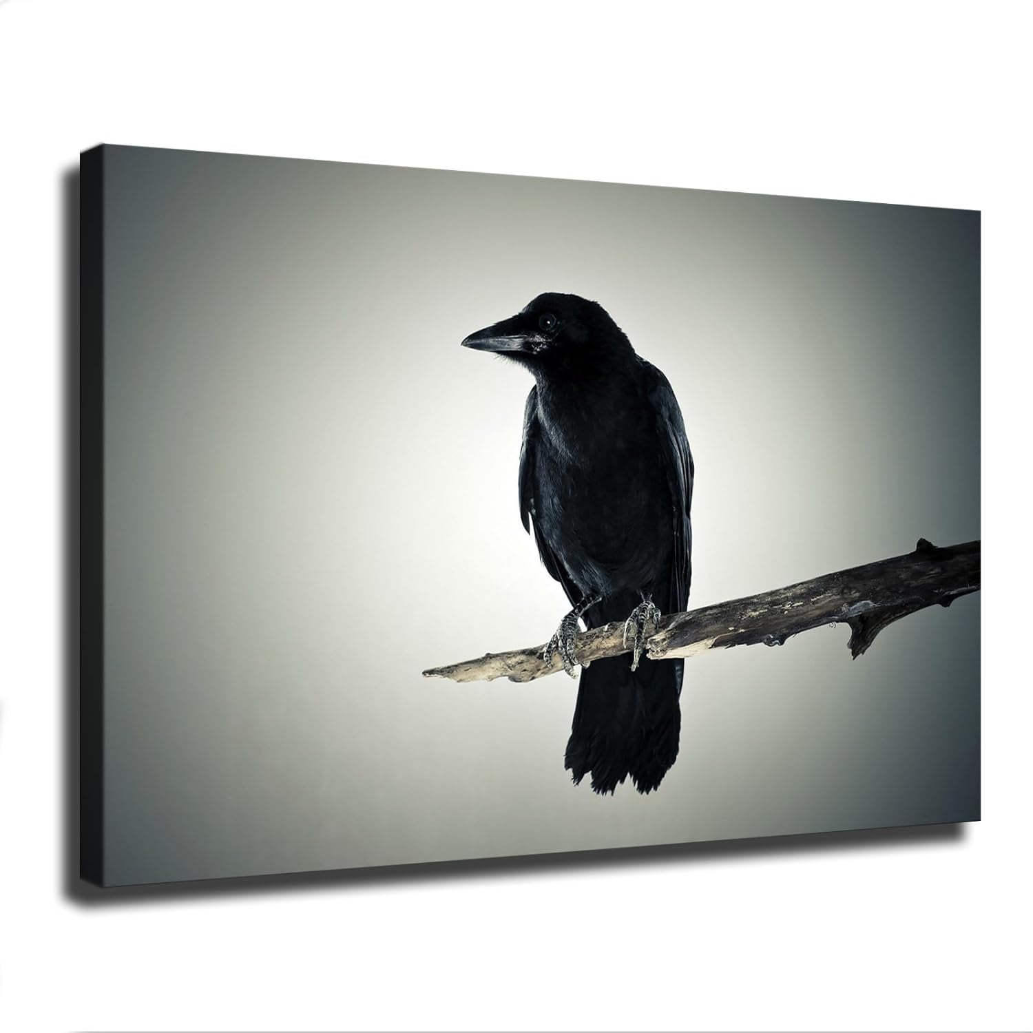 AABERIC Black Raven Standing Proud (Picture Poster Animal Crow Art Bird ...
