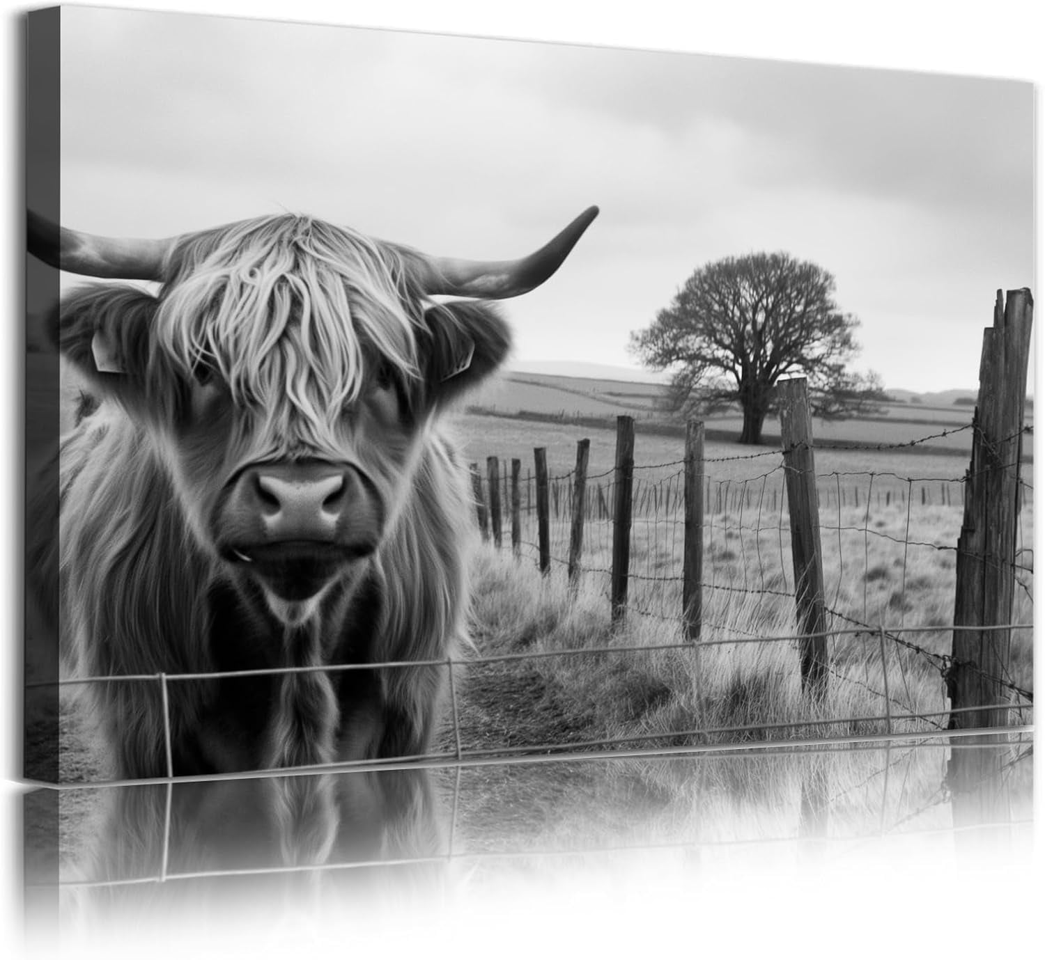 AABERIC Black and White Highland Cow Canvas Wall Art Funny Animals ...