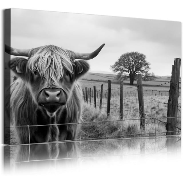 AABERIC Black and White Highland Cow Canvas Wall Art Funny Animals ...